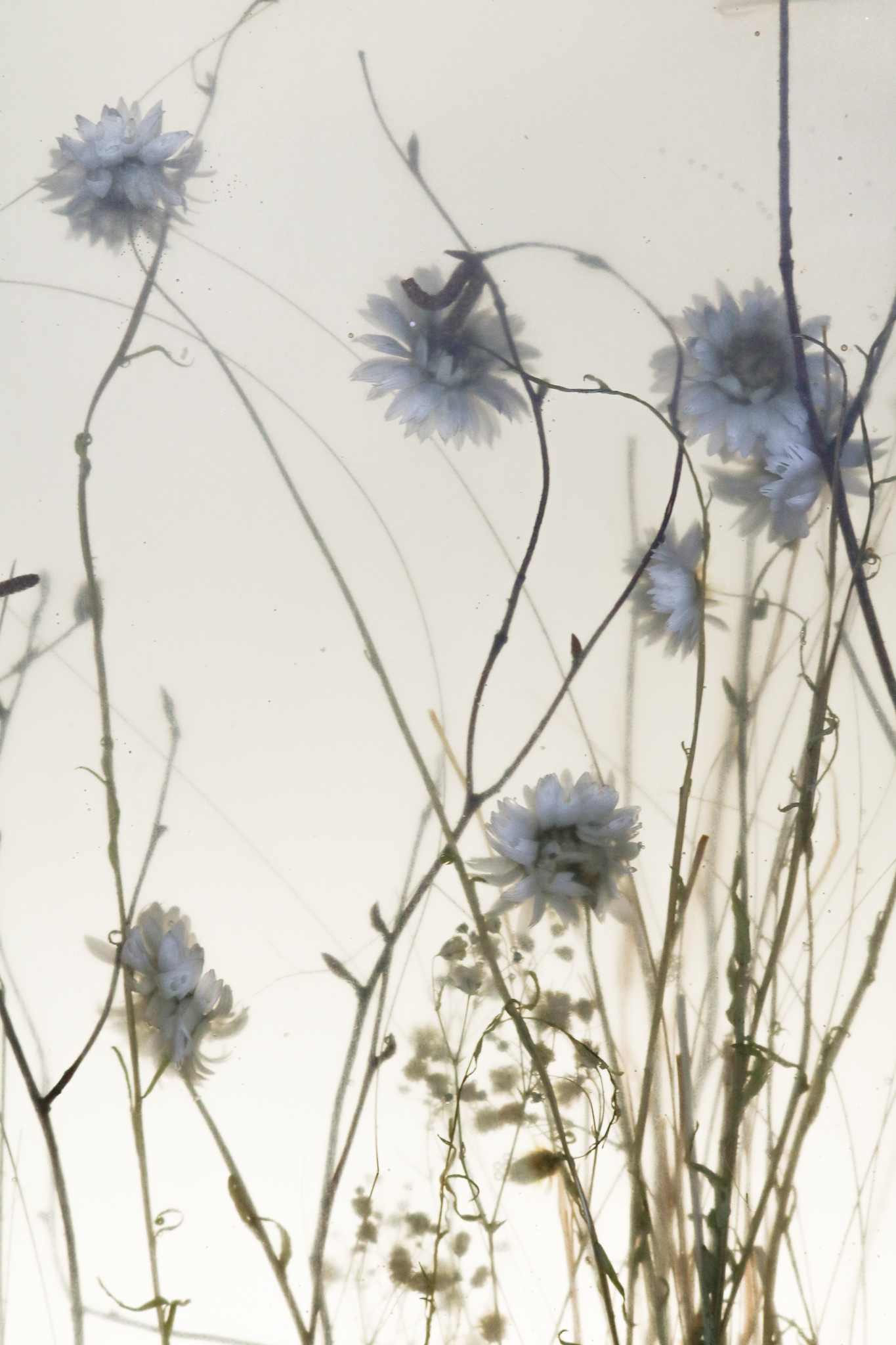 Sustainability - The Alan Hotel Manchester